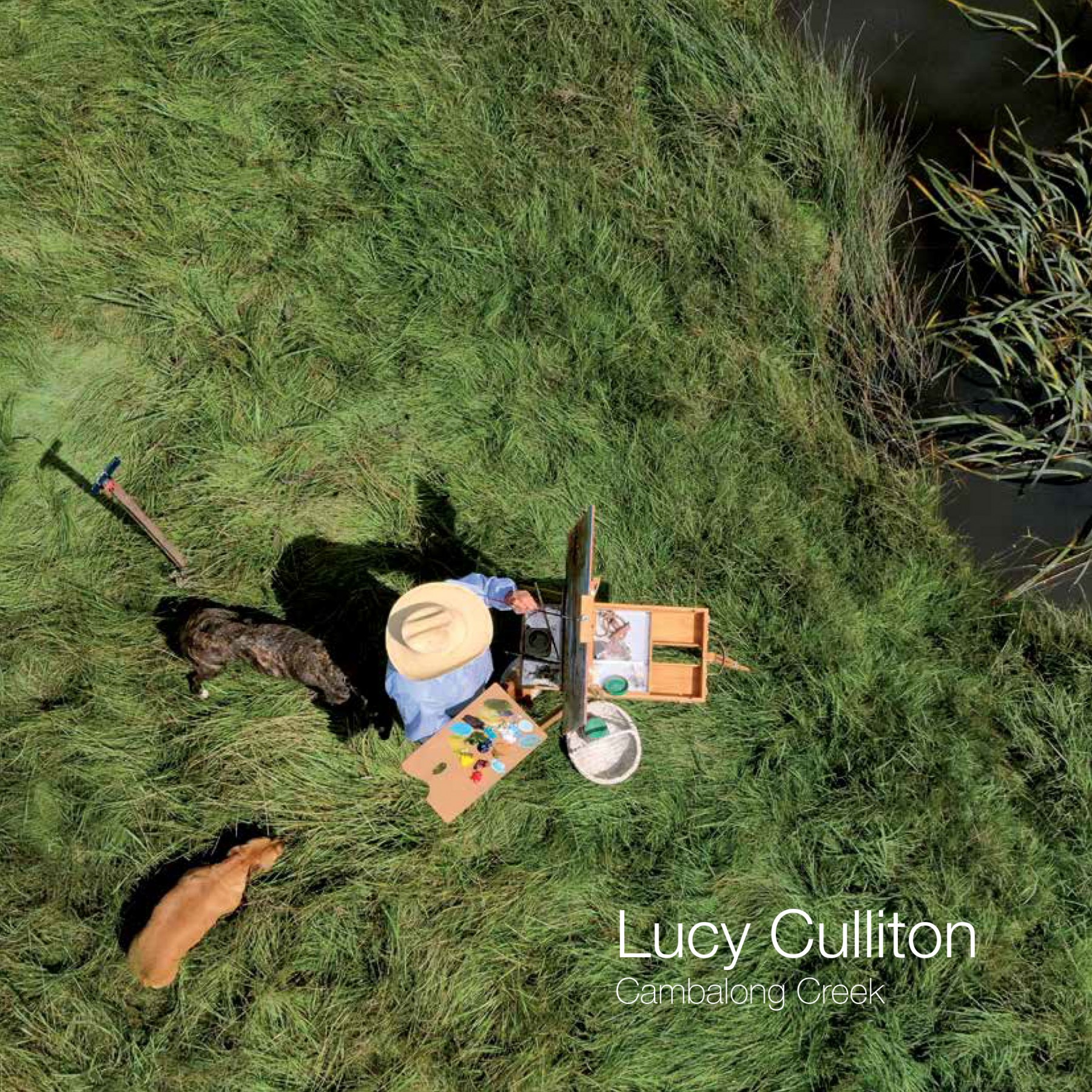 Lucy Culliton - King Street Gallery on William