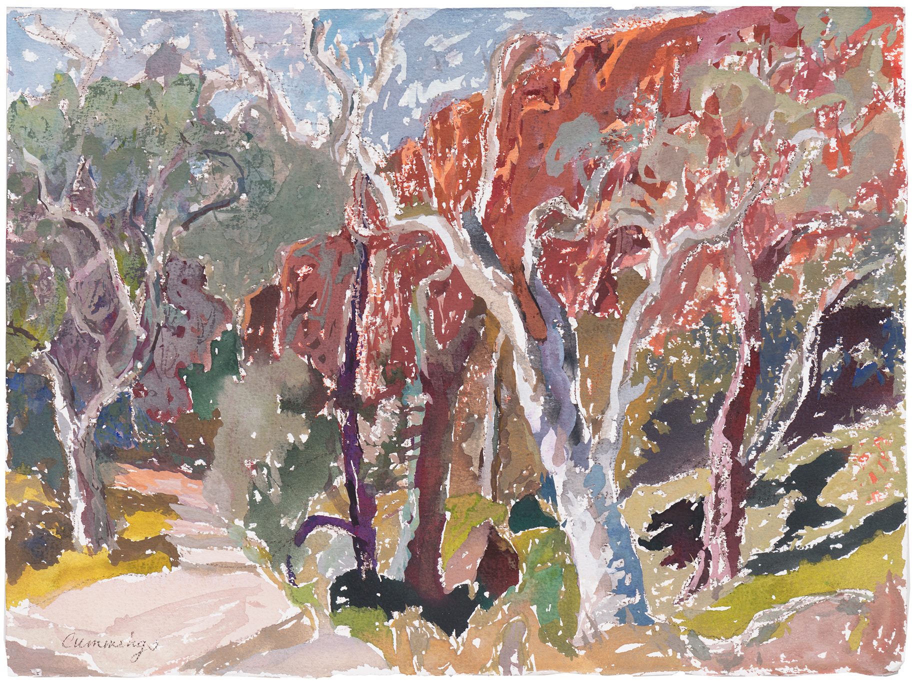 The Gammon Ranges - King Street Gallery on William