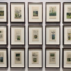 Exhibitions Archive - King Street Gallery on William