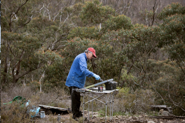 Painted River Project: Blue Mountains Rare Upland Swamps - 4 May-14 ...