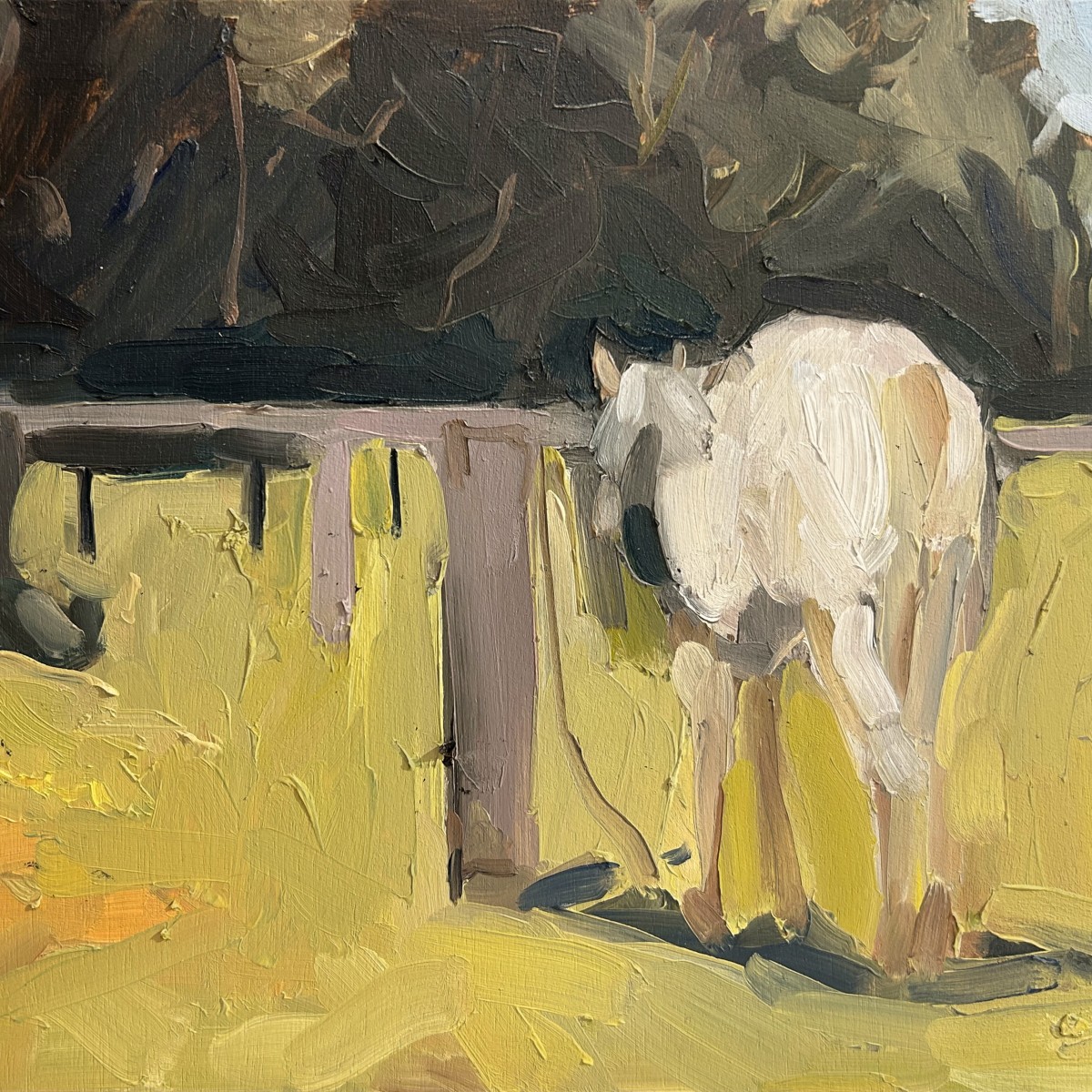 Exhibitions Archive - King Street Gallery on William