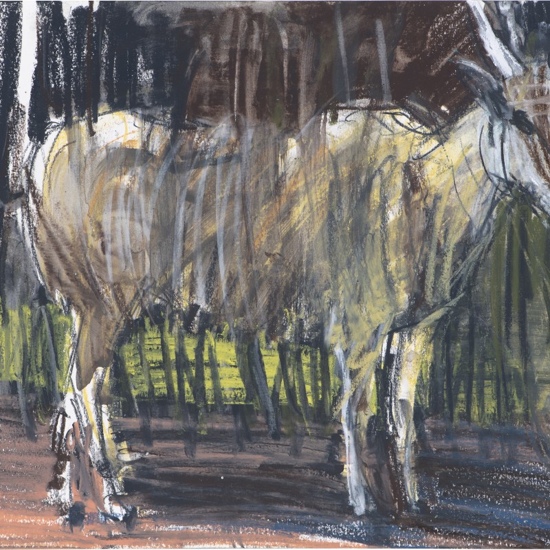 The Zoo Part 1 - King Street Gallery on William